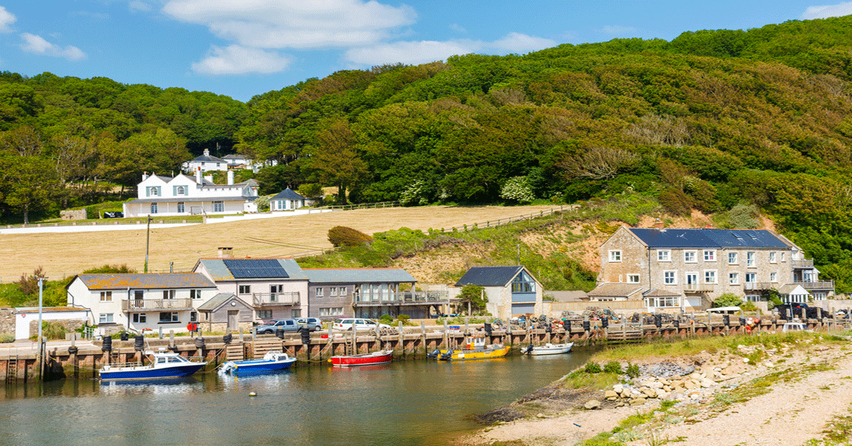 Colyton Devon: A guide to the property market