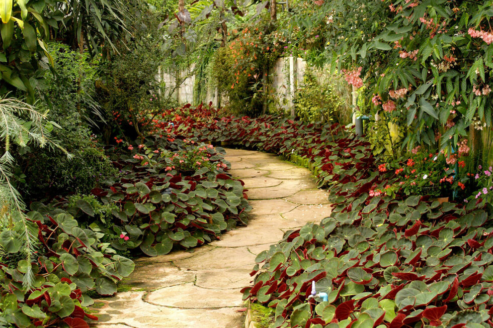 15 garden privacy ideas: solutions for overlooked gardens - OnTheMarket ...